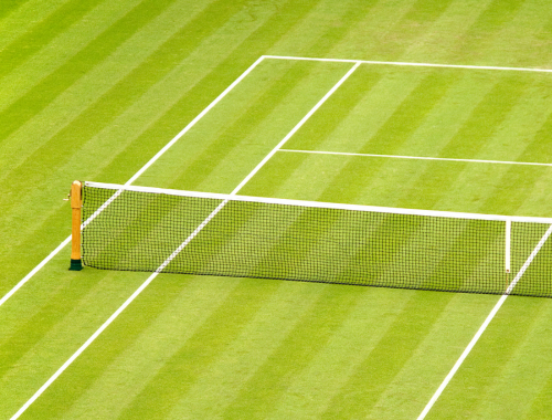 Light On The Common - Friday 3rd July 2026 | Events International